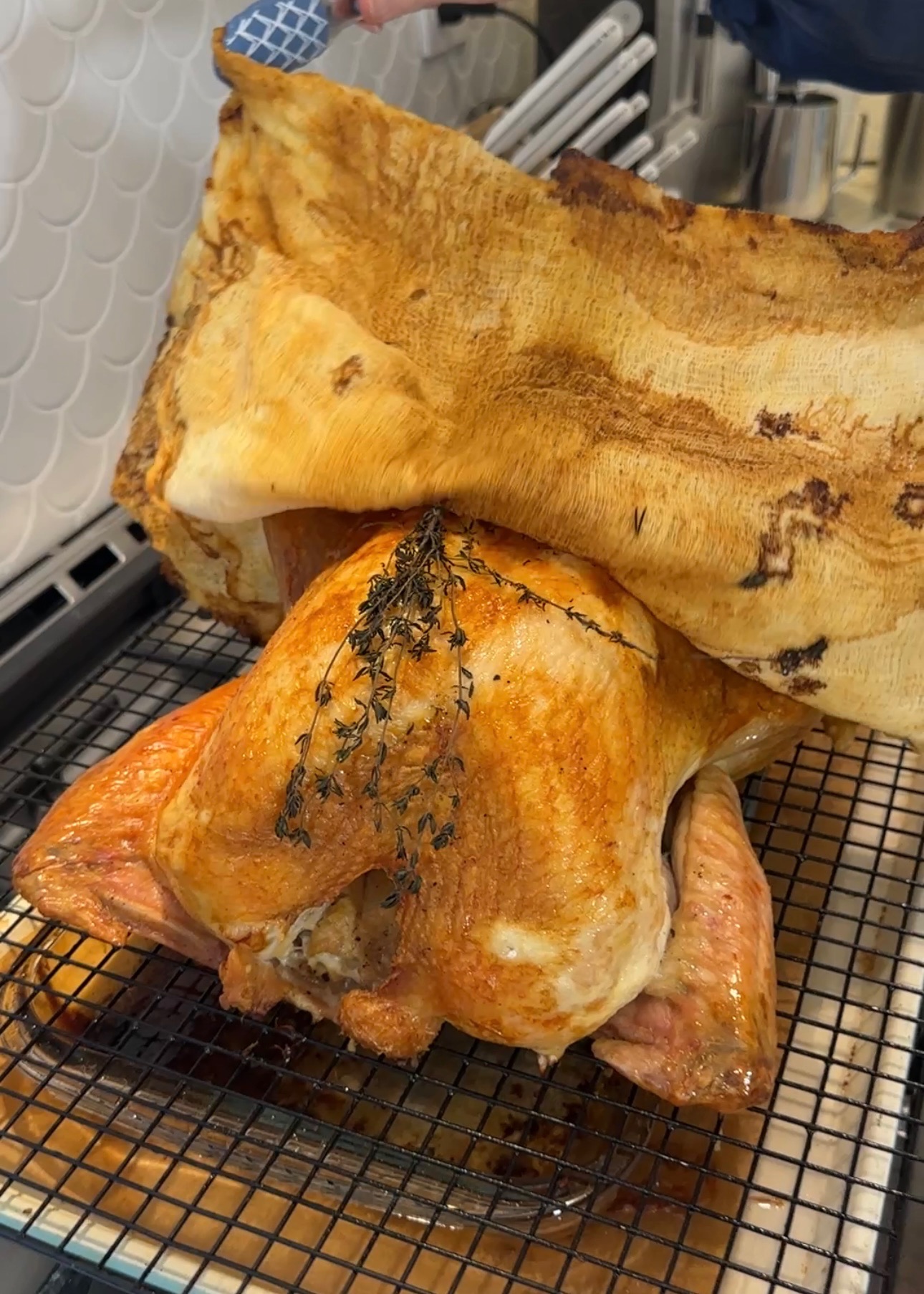 The Best Ever Turkey Hack - LORAfied