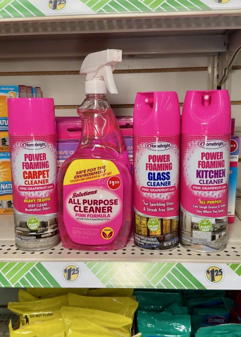 Dollar Tree Dupes: Cleaning Edition - LORAfied
